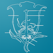 Login - New Brunswick Department of Education